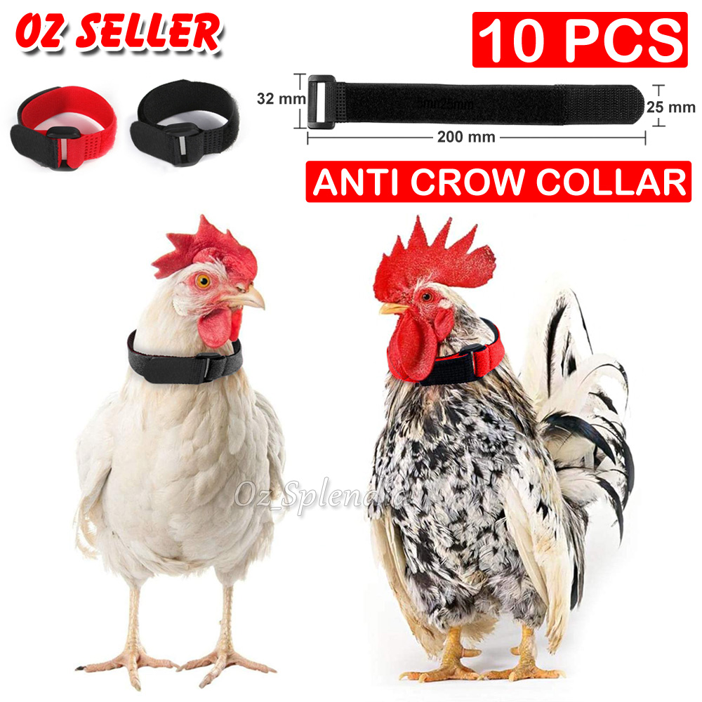 10PCS Anti Crow Collar for Roosters Cockerel No Crow Noise Neck Belt ...